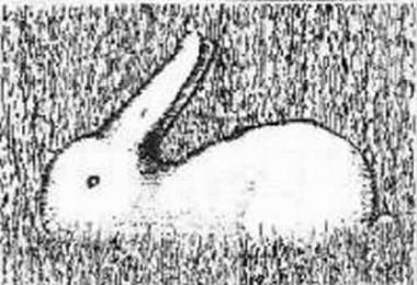 Imagens ambíguas, Imagens que parecem ser mais de uma coisa – Sky Nerd