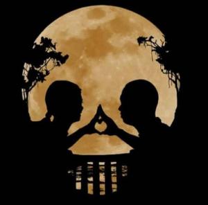 Imagens ambíguas, Imagens que parecem ser mais de uma coisa – Sky Nerd